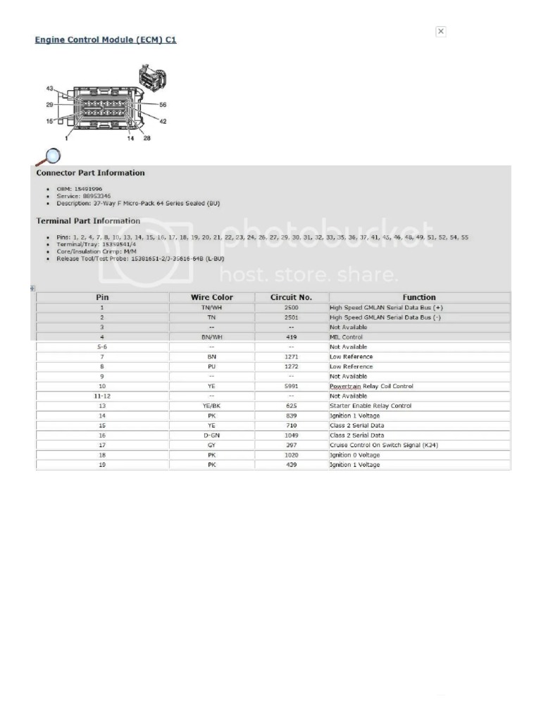 E40 ECM Pinout - Chevy Trailblazer SS Forum | PDF