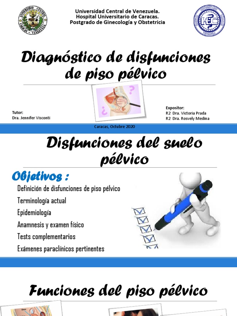Disfunciones del Suelo Pélvico Femenino | PDF | Pelvis | Anatomia sexual