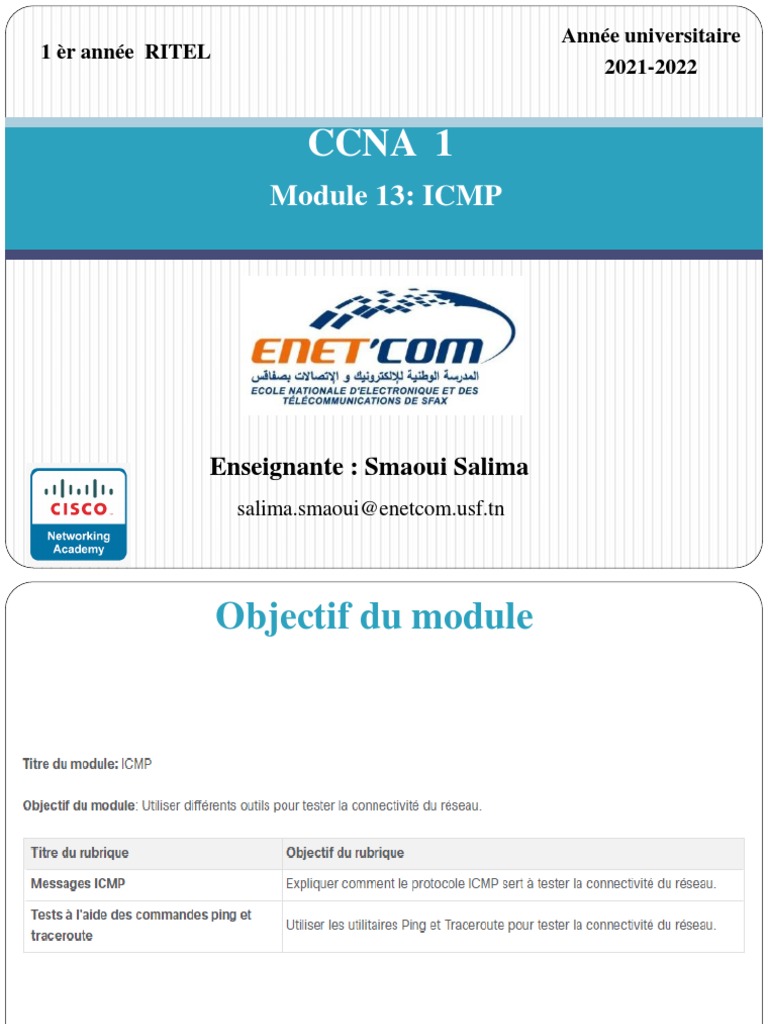 Module 13 Icmp Pdf I Pv6 Protocoles Internet 