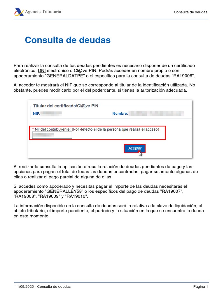 Consulta de Deudas | Descargar gratis PDF | Tarjeta de débito | Informática