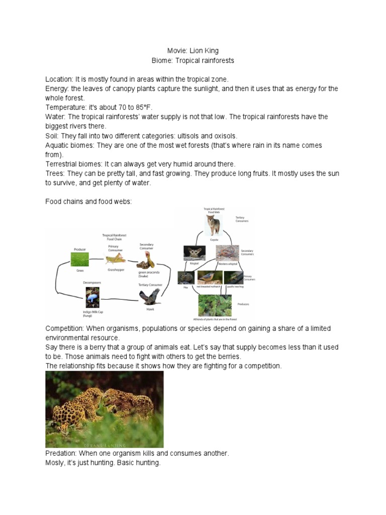 Matthew Barrall - Pop Culture Biome Project - Final Product | PDF
