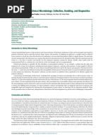 CHROMagar Candida Plus IFU | PDF | Candida (Fungus) | Microbiology