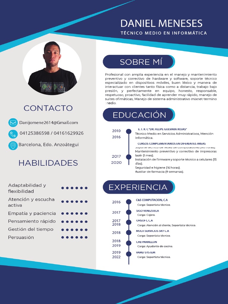 CV Daniel Meneses | PDF