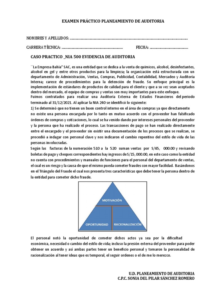 Practica Calificada Nia 500 Evidencia de Auditoria | PDF | Auditoría ...