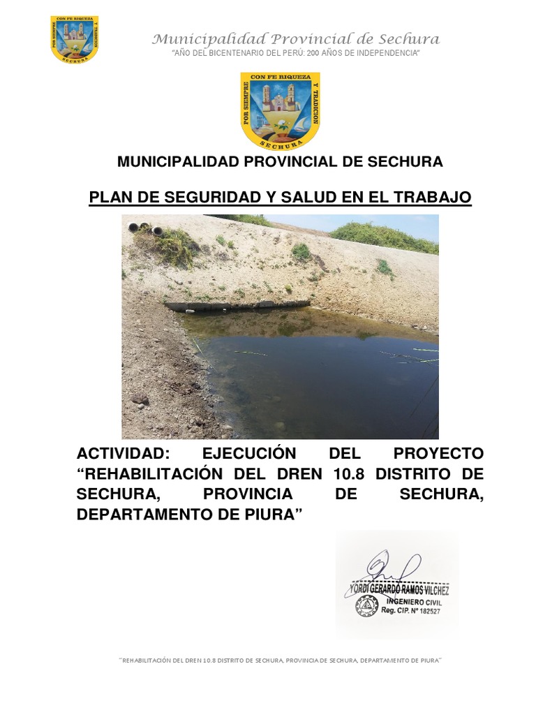 Plan de Seguridad y Salud en El Trabajo Dren 10.8 | PDF | Seguridad y ...