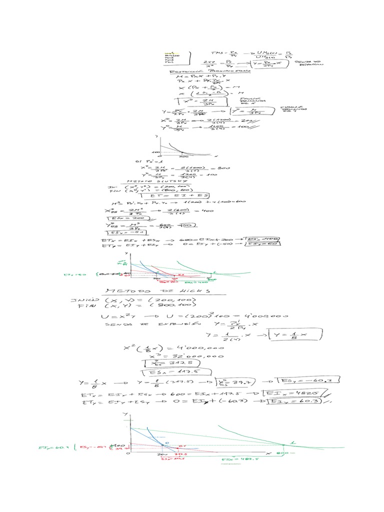 Micro II Ejercicio Metodo Slutsky y Hicks | PDF