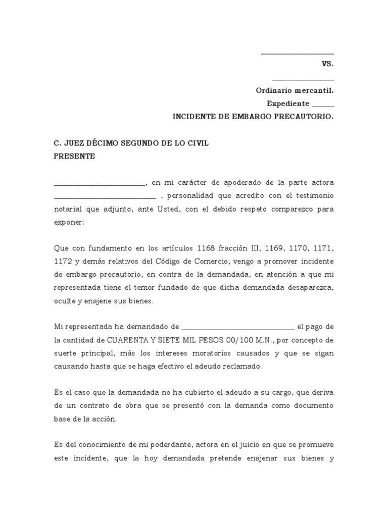 Incidente de Embargo Precautorio | Descargar gratis PDF | Justicia ...