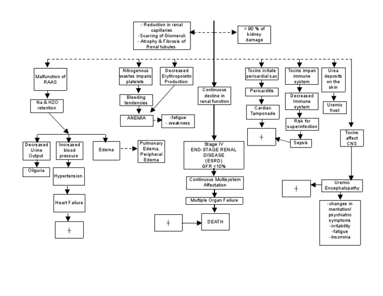 Pathophysio CRF2 - Revised | PDF | Kidney | Medical Specialties