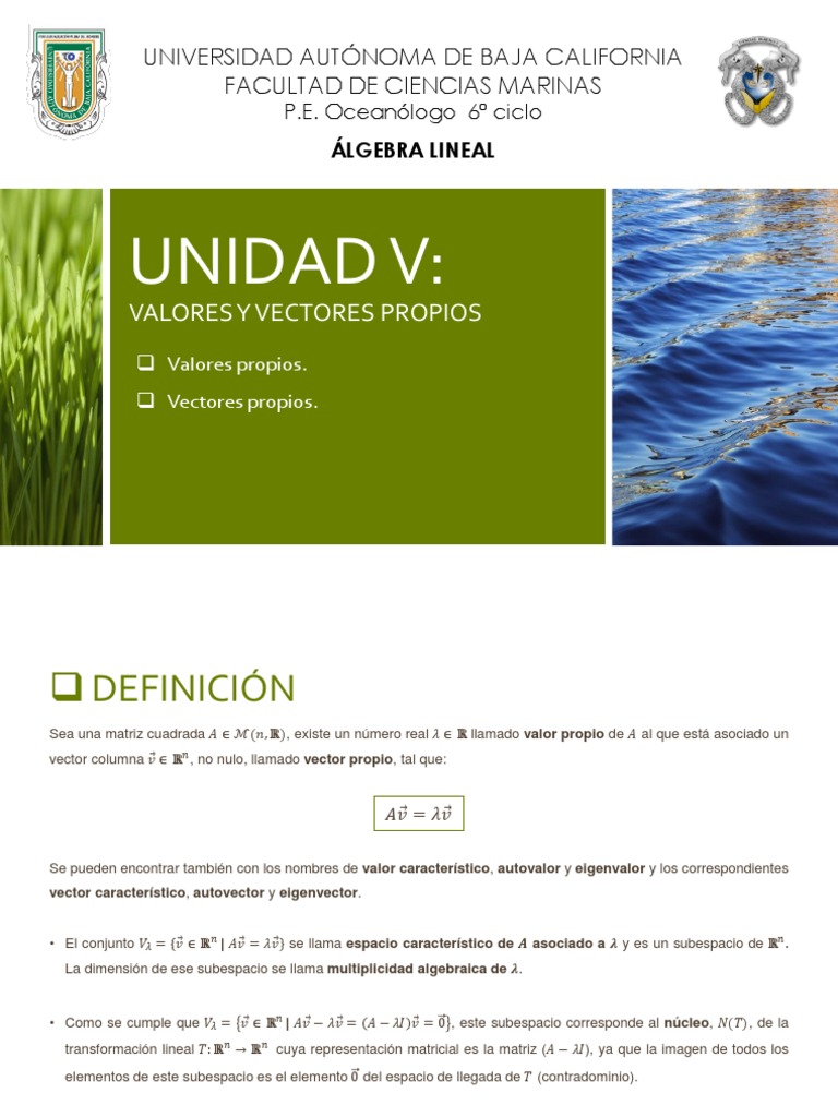 Unidad 5 - Valores Vectores Propios | Descargar gratis PDF | Valores ...