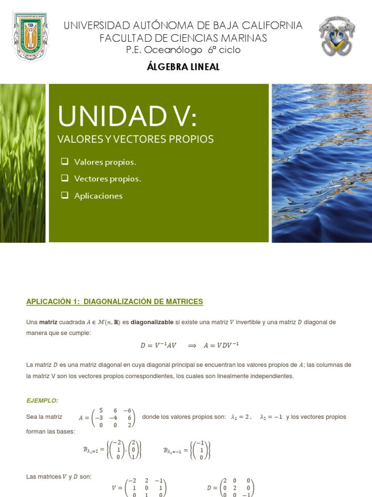 UNIDAD 5 - VALORES VECTORES PROPIOS - Aplicación | PDF | Valores ...