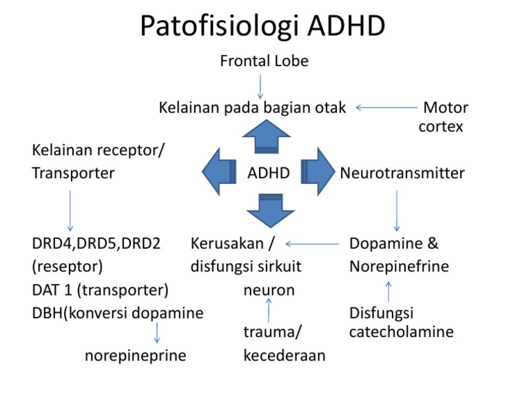 Patofisiologi ADHD