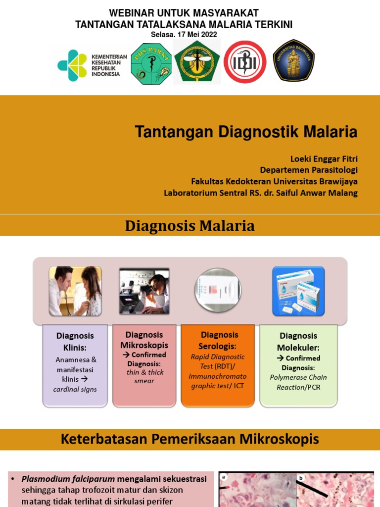 Presentasi - Loeki Enggar Fitri - Tatalaksana Malaria - Fix 20 Menit ...