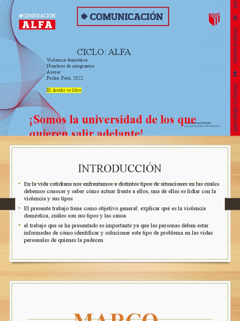PPT exposición final violencia domestica - ALFA (1) | PDF | Violencia doméstica | Violencia
