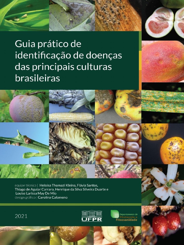 Guia Pratico De Identificacao De Doencas Das Principais Culturas Pdf