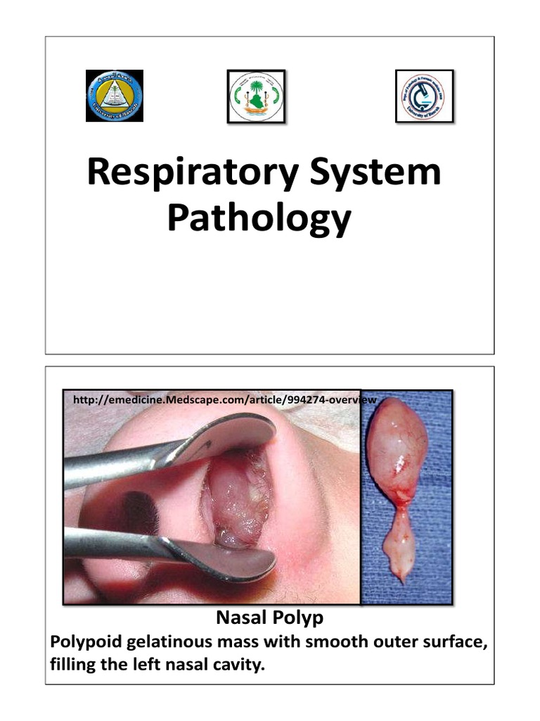 Lab17-Respiratory System Pathology_compressed | PDF | Lung | Diseases And Disorders