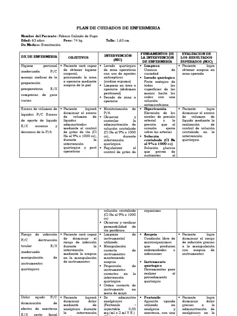 Plan de Cuidado de Enfermeria | PDF | Analgésico | Medicina CLINICA