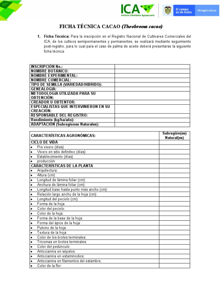 Ficha Tecnica Cacao Ok | Descargar gratis PDF | Fruta | Hoja Ficha Tecnica Cacao Ok | Descargar gratis PDF | Fruta | Hoja