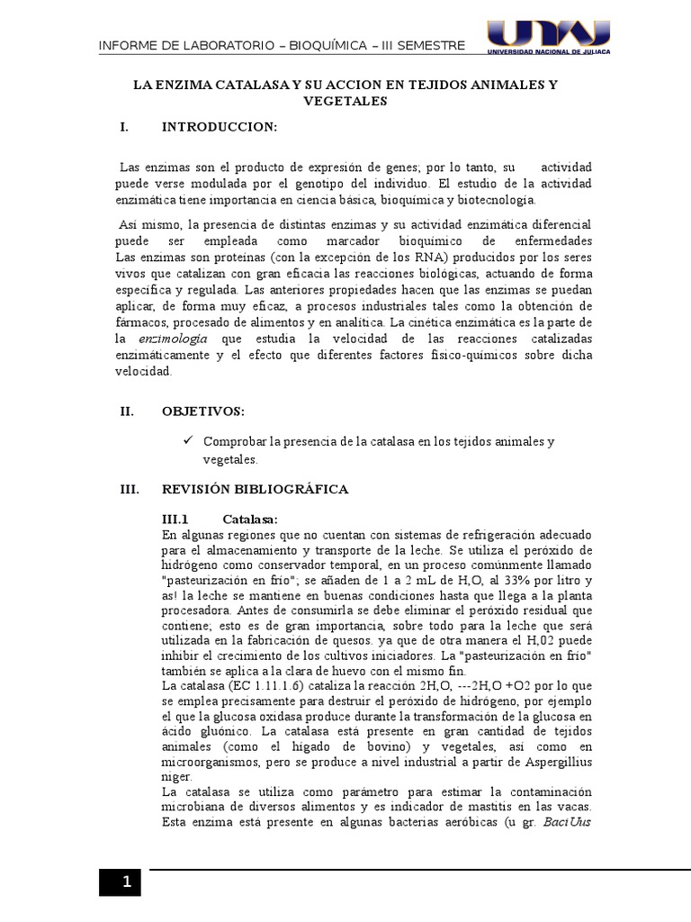 La Enzima Catalasa-Y-Su-Accion en Tejidos Animales y Vegetales | PDF ...