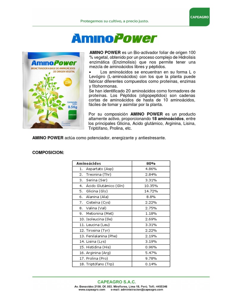 Amino Power - Ficha Tecnica. 20 | PDF | Aminoácidos | Biosíntesis