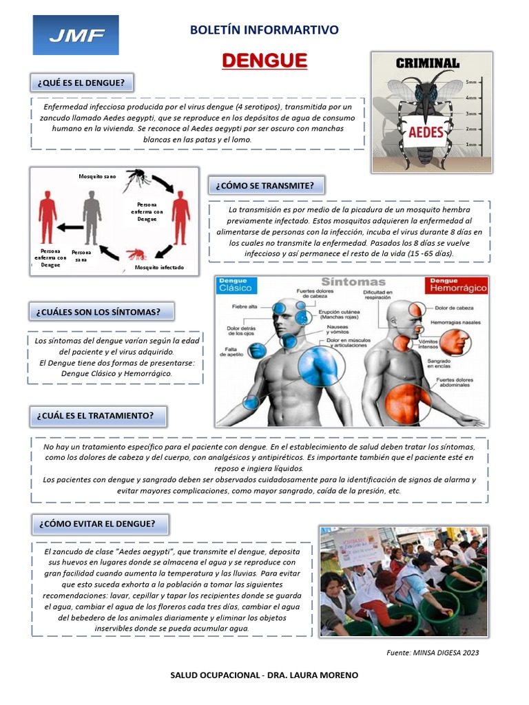Boletin Informativo - Dengue - JMF - Mayo 2023 | PDF | Enfermedades ...
