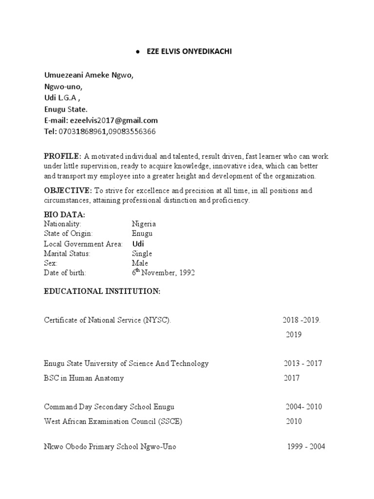 Eze Elvis Onyedikachi CV | PDF