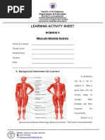 Muscular Questions | PDF | Skeletal Muscle | Musculoskeletal System