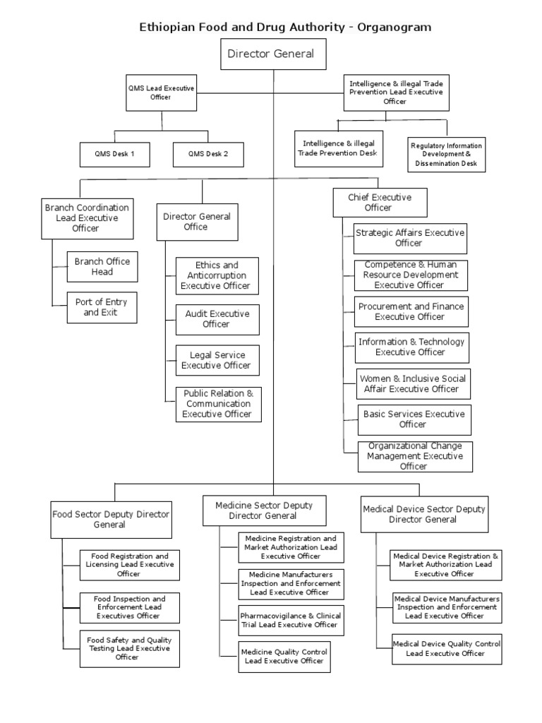 EFDA Organogram English Version | PDF | Medical Device | Medicine