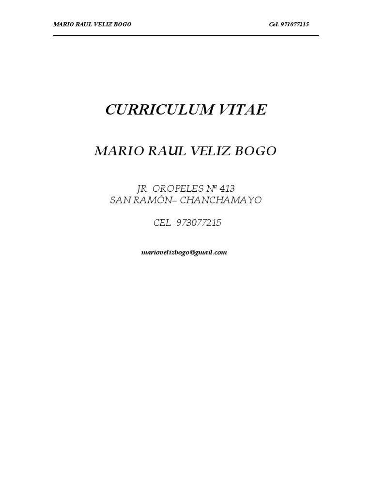 Curriculum Vitae Mario | PDF