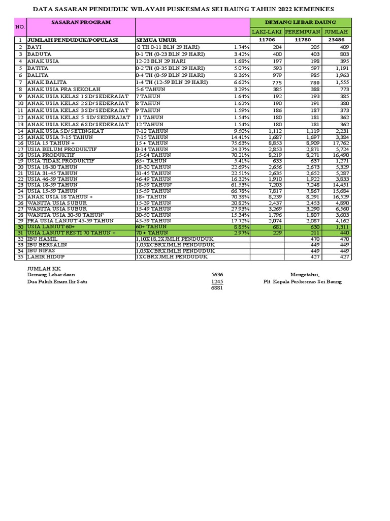 DATA SASARAN 22 Versi Kemenkes | PDF