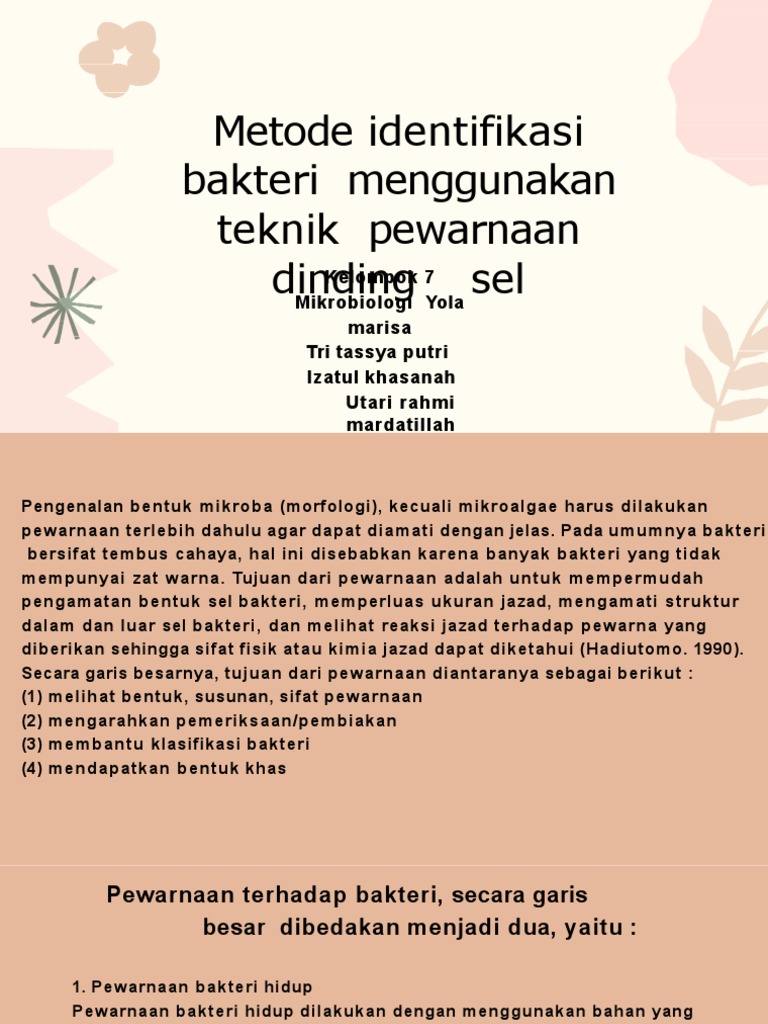 Metode Identifikasi Bakteri Menggunakan Teknik Pewarnaan Dinding Sel ...