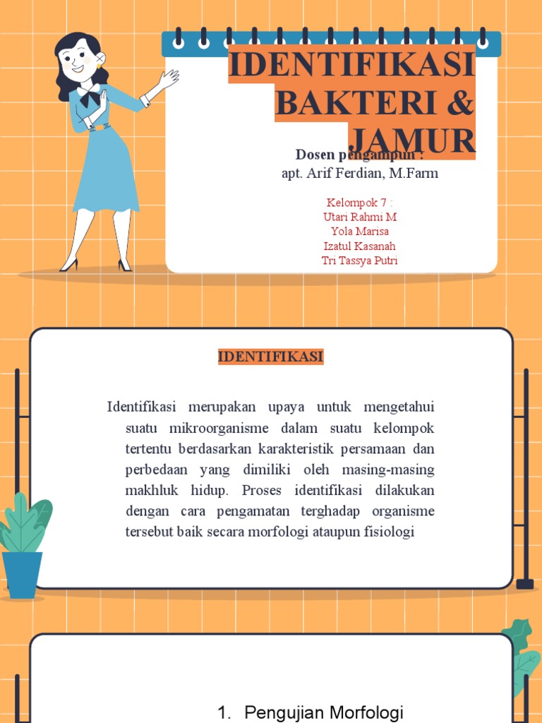 Identifikasi Bakteri Dan Jamur | PDF