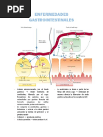 Eumotil S Prospecto | PDF | Tableta (Farmacia) | Drogas
