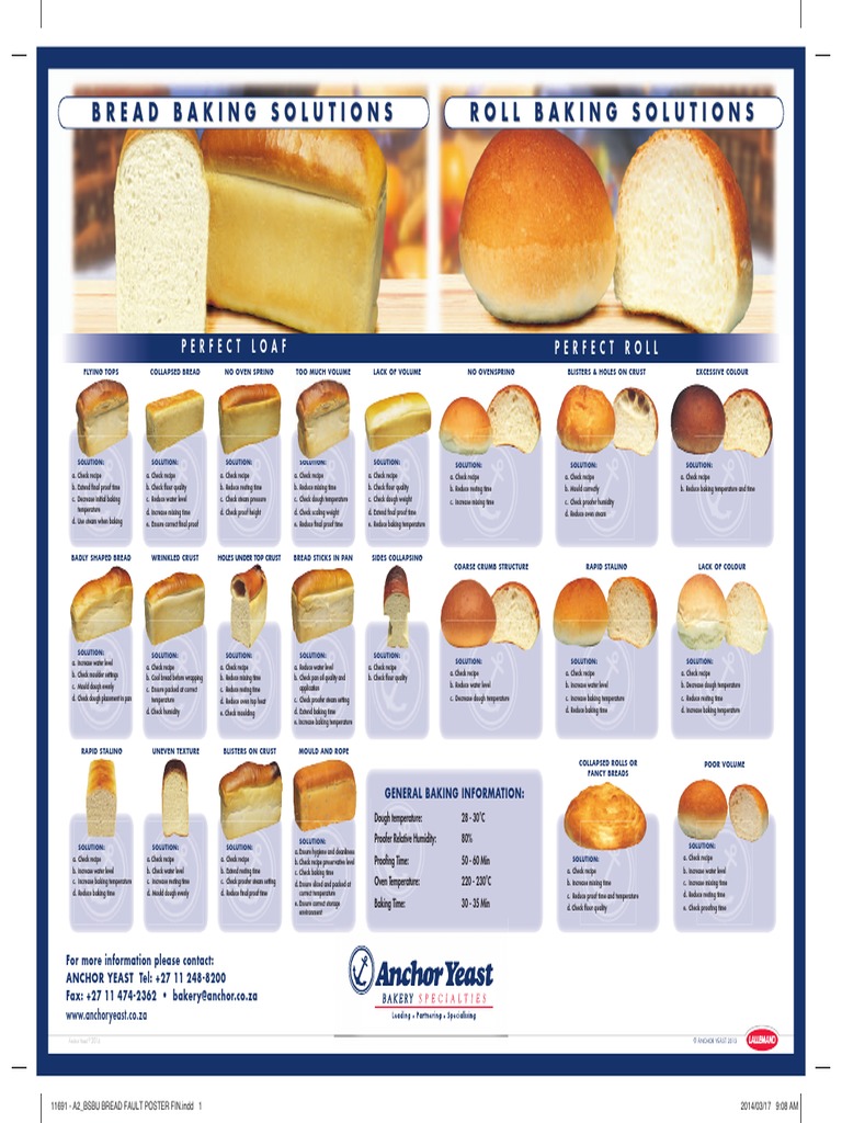 Breadproblemssolutions 190509135728 | PDF | Breads | Cuisine