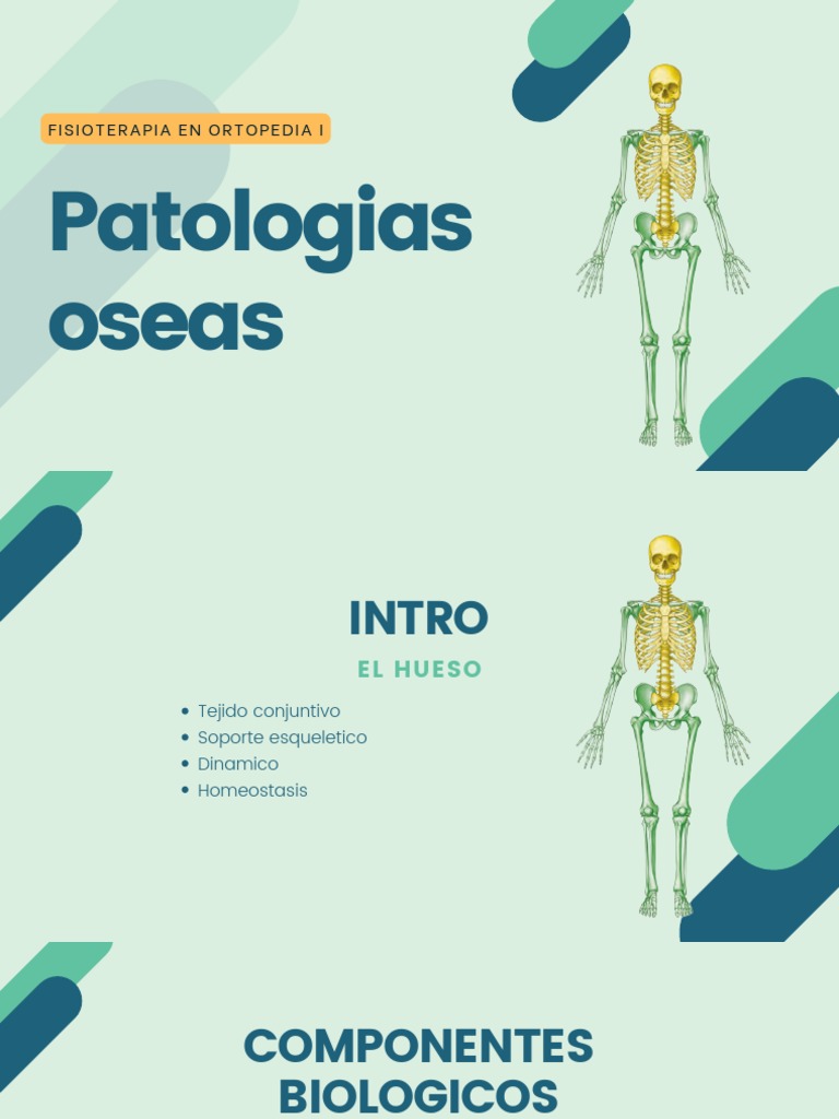 Patologias Oseas | PDF | Hueso | Osteoporosis