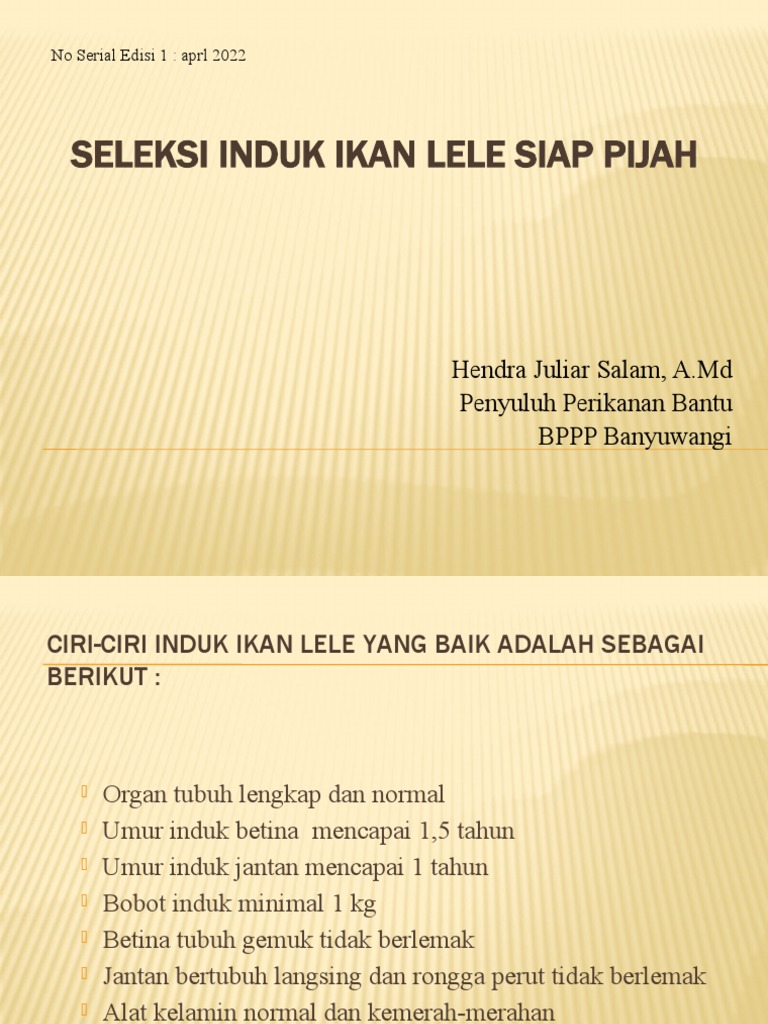 Ciri Induk Lele Siap Pijah dan Seleksi | PDF | Kesehatan Holistik ...