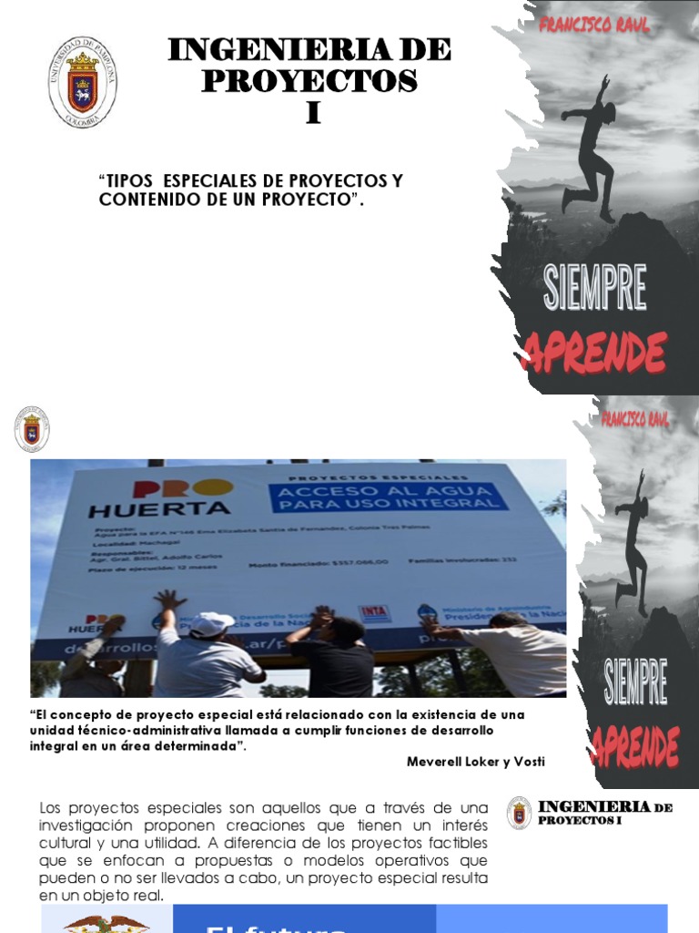 CLASE 03 - Proyectos I | PDF | Ingeniería | Innovación