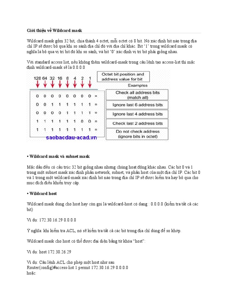 Giới Thiệu Về Wildcard Mask | PDF