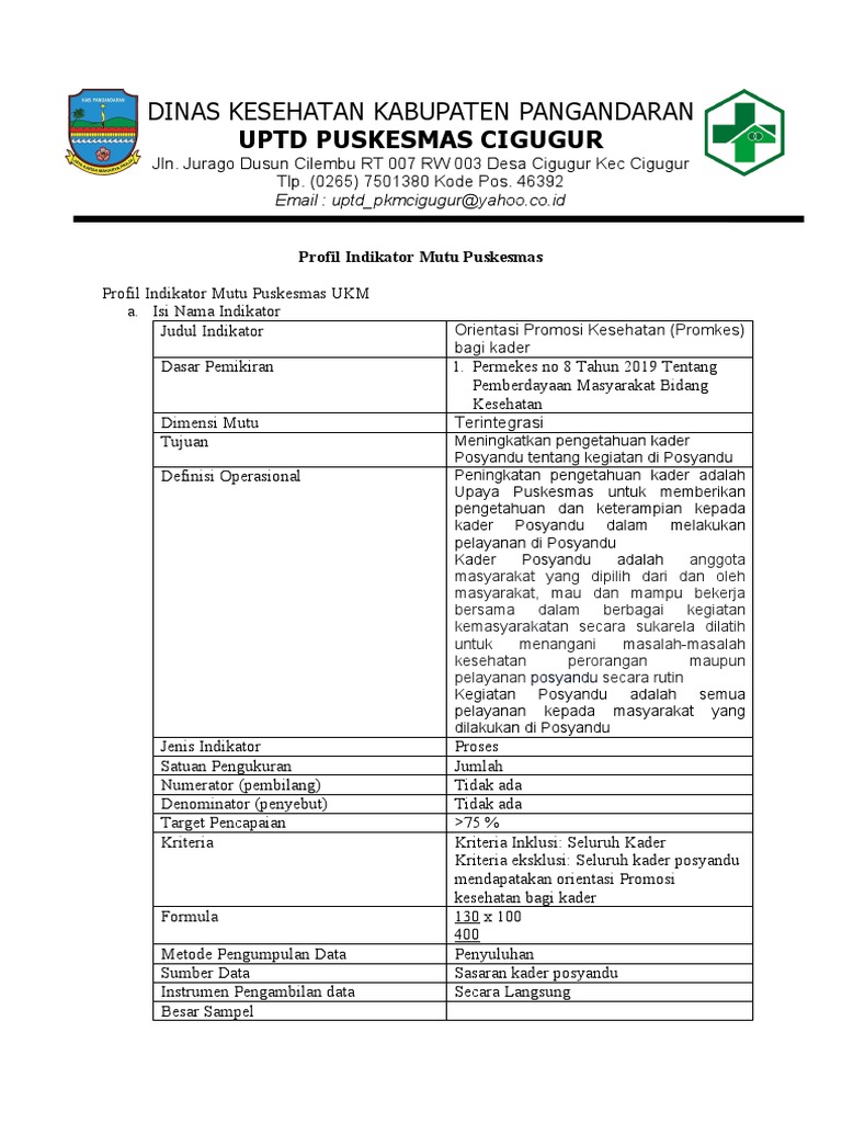 Profil Indikator Mutu PROMKES | PDF