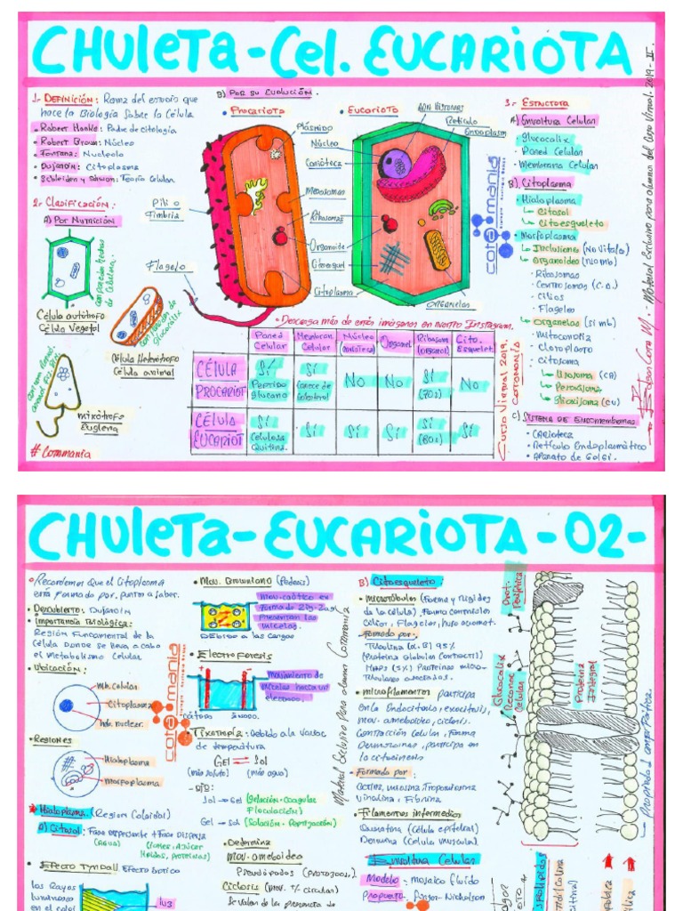 Chuletas 04 | PDF