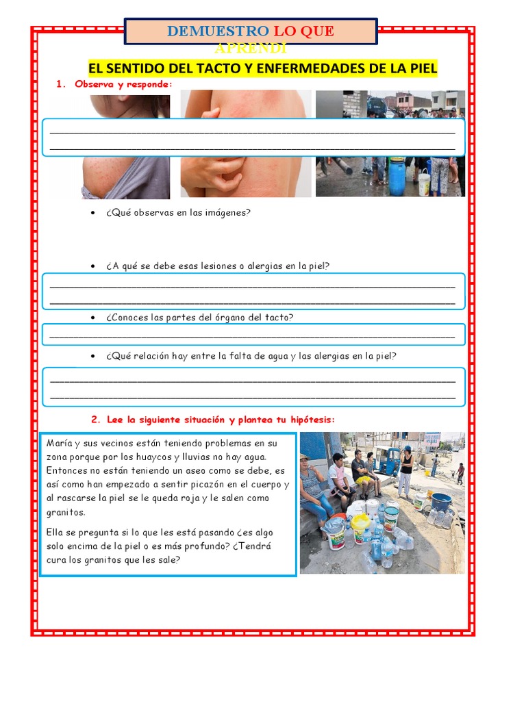 Ficha Sentido Del Tacto | PDF | Piel | Enfermedades y trastornos