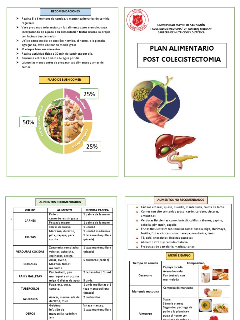 Plan de Colecistitis | PDF | Alimentos | Carne