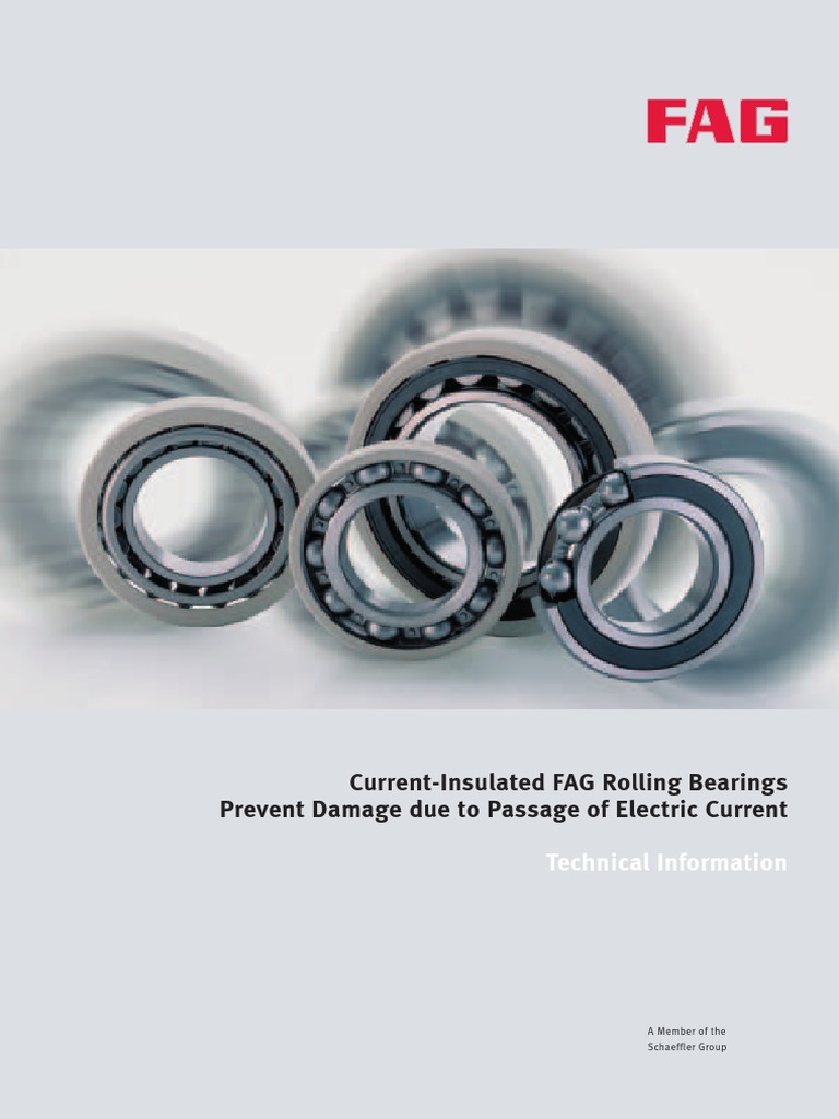 FAG Rolling Bearings Current Insulated | PDF | Bearing (Mechanical ...