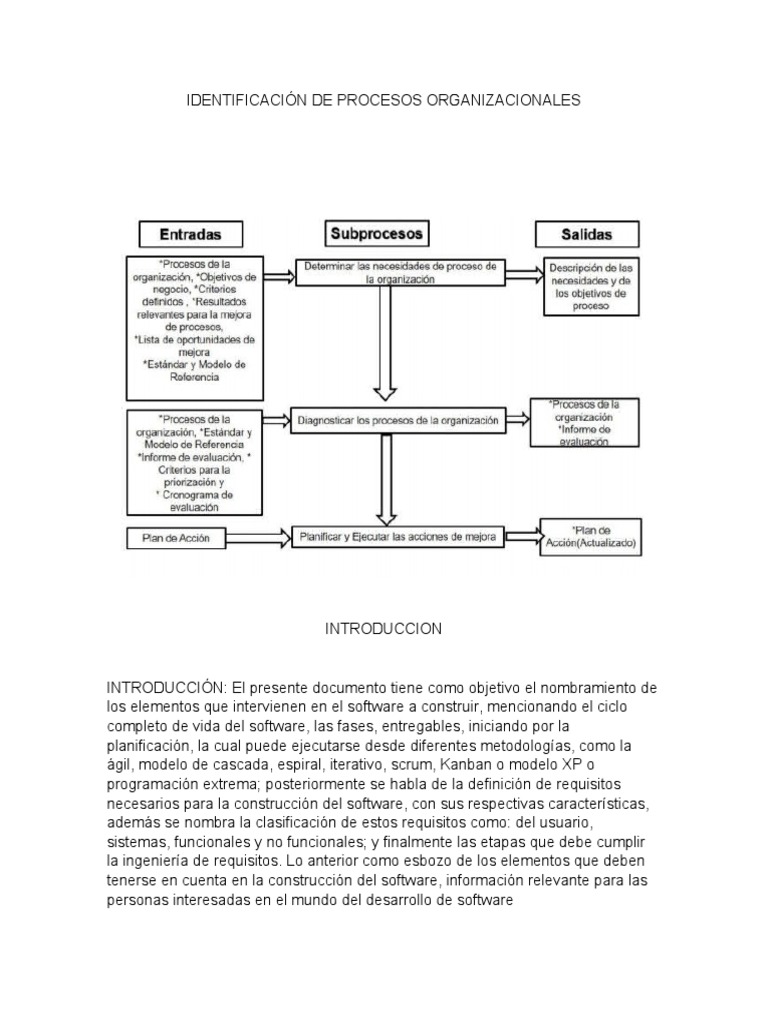 Identificación de Procesos Organizacionales | PDF | Software | Obesidad