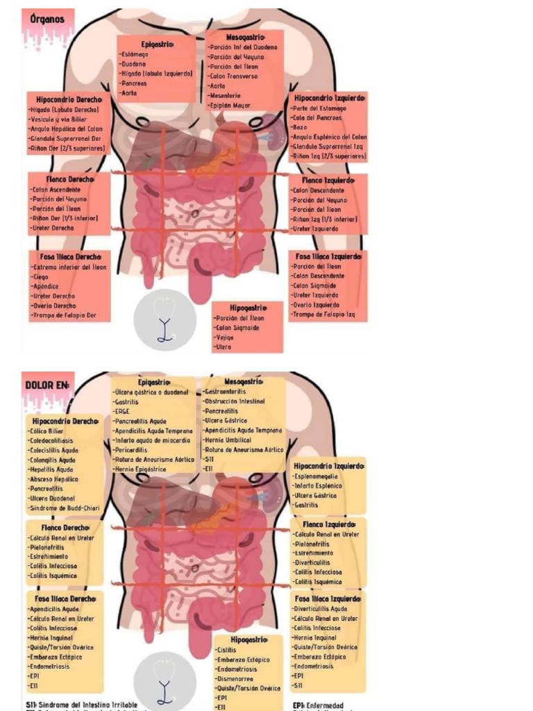Flashcards Oficial | PDF