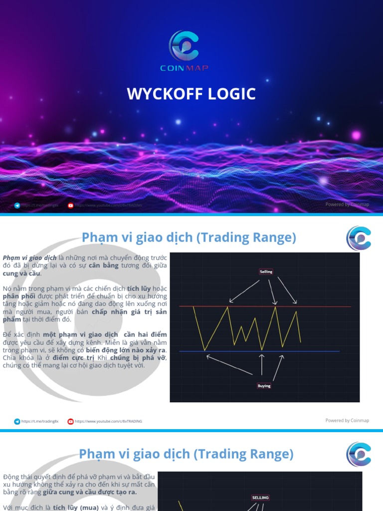 Bu I 5 - Wyckoff Logic | PDF