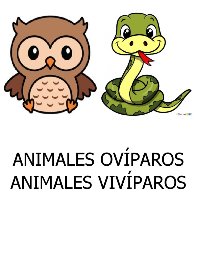 Animales Ovíparos | PDF | Salud y bienestar