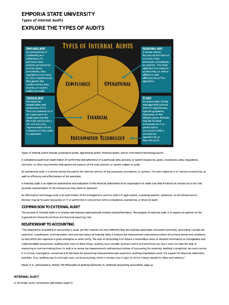 Types of Internal Audits | PDF