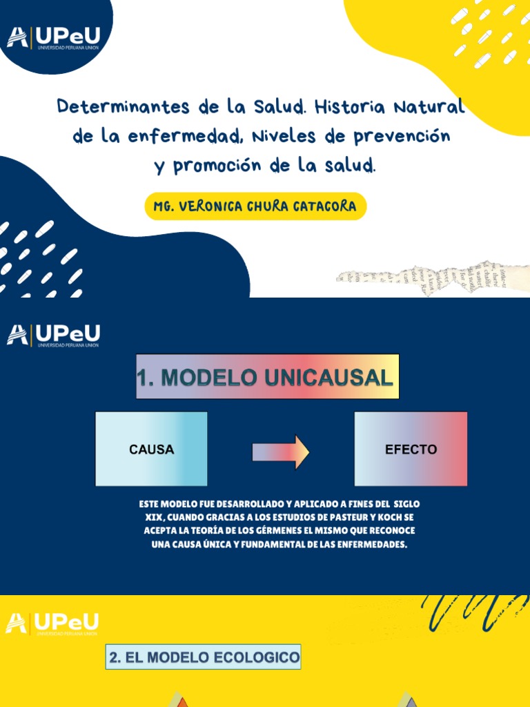 Tema 2 - DSS - Historia Natural de La Enfermedad, Niveles de Prevención | PDF