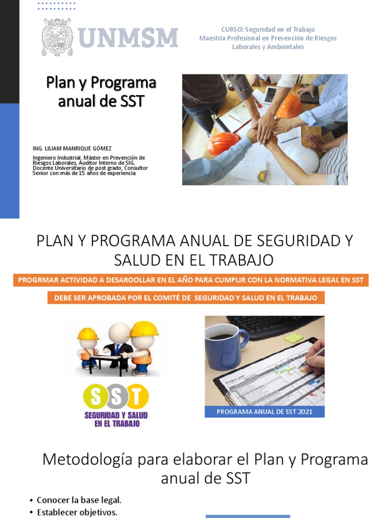 01.programa Anual de SST | PDF | Seguridad y salud ocupacional