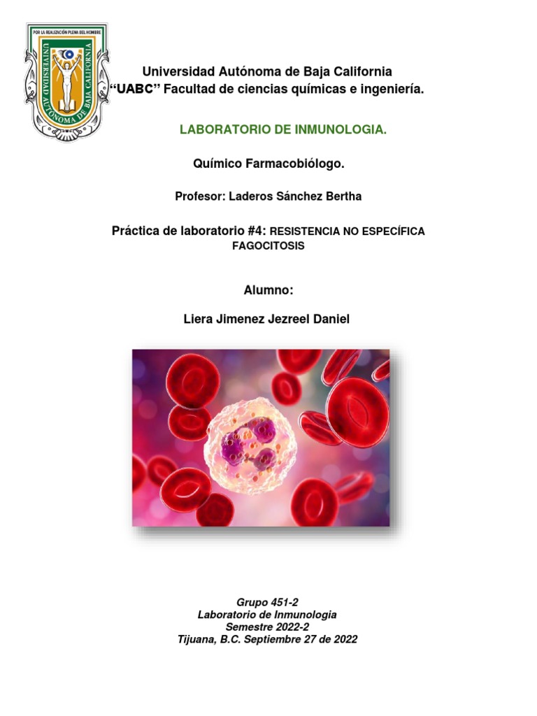 Práctica de Fagocitosis en Inmunología | PDF | Fagocito | Inmunología